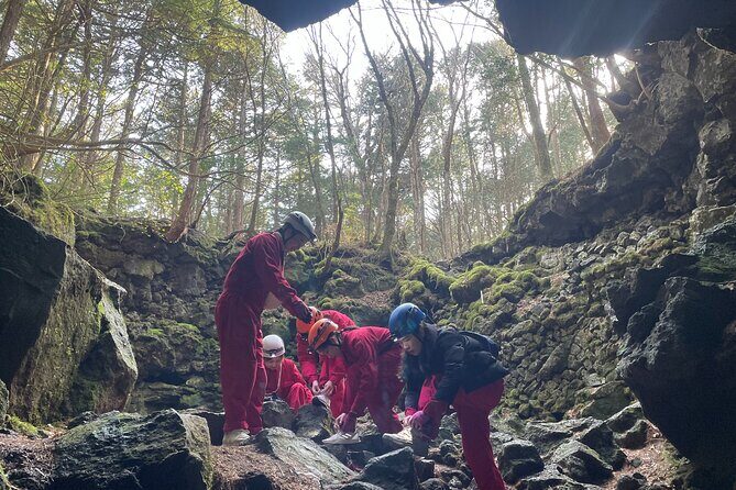 Hiking and Caving in Aokigahara Forest at the Foot of Mt. Fuji - FAQ