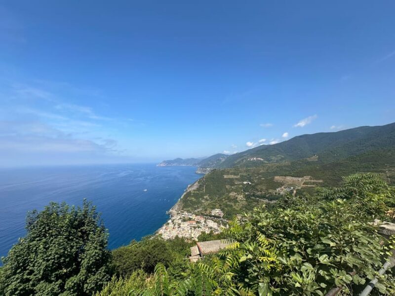 Hiking and wine tasting experience - A Closer Look at the Hiking & Wine Tasting Experience