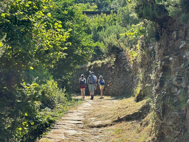 Hiking and wine tasting experience - Who’s This Tour Best For?