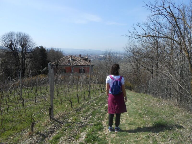 Hiking and wine tour starting from Alba - Exploring the Piedmont Hills: A Rich Blend of Nature and Nurture