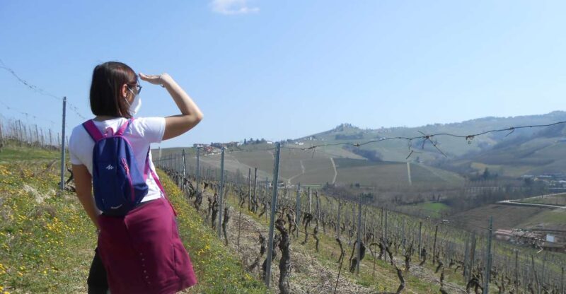Hiking and wine tour starting from Alba - Key Points