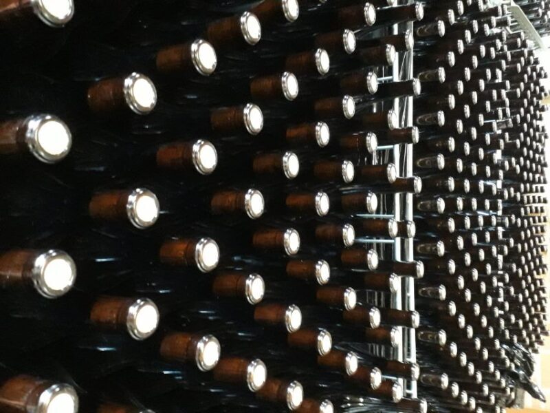 Hiking and wine tour starting from Alba - Final Thoughts