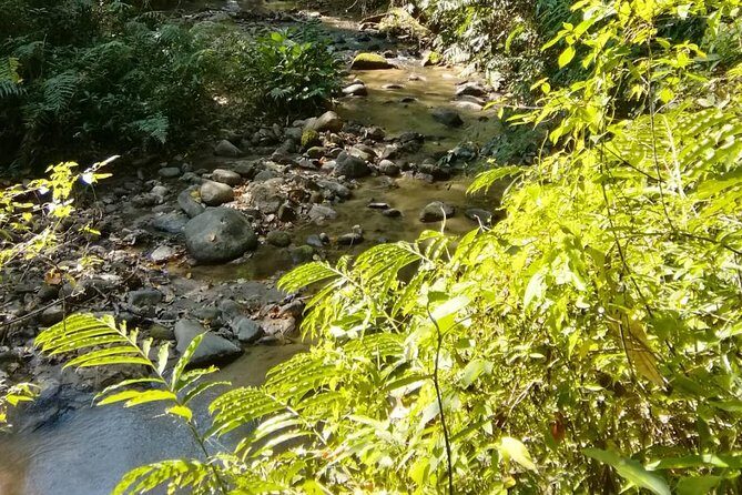 Hiking and Zipline Private Tour from Chiang with Karen Village - Practical Tips for Maximizing Your Day