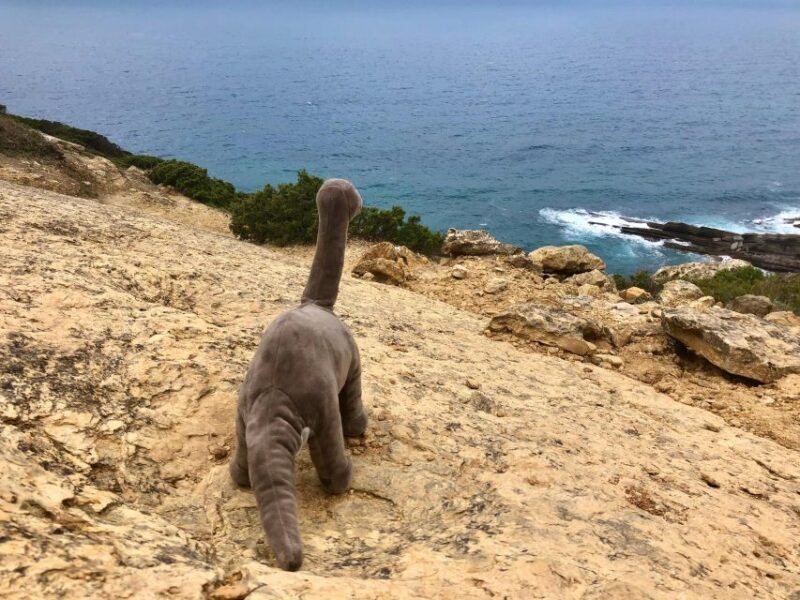 HIKING around Lisbon: Jurassic Dinosaur Trails of Espichel - Exploring the Jurassic Dinosaur Trails of Espichel: A Walk Through Time and Nature