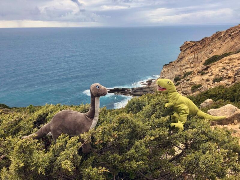 HIKING around Lisbon: Jurassic Dinosaur Trails of Espichel - Who Will Appreciate This Tour?