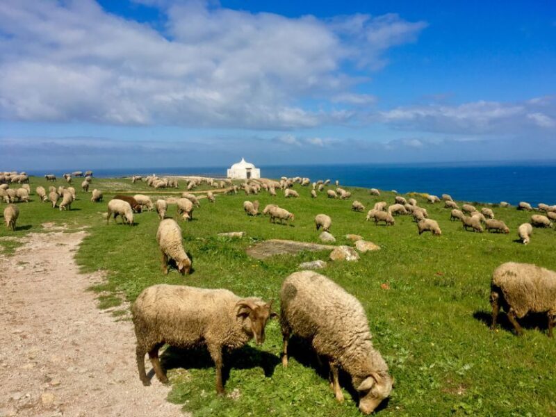 HIKING around Lisbon: Jurassic Dinosaur Trails of Espichel - FAQs