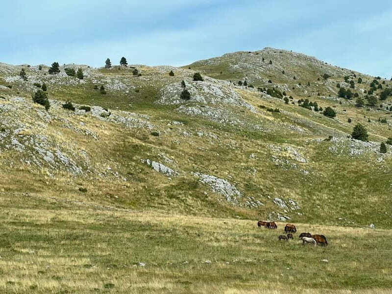 Hiking around Sarajevo: Lukomir Village Full Day Hiking Tour - Practical Details and Group Experience