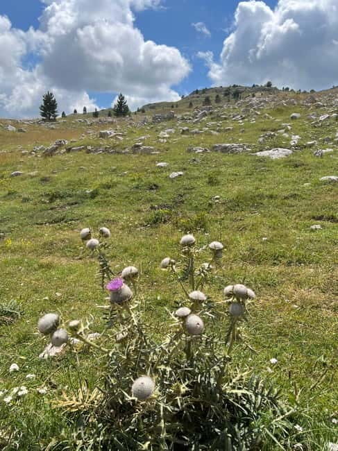 Hiking around Sarajevo: Lukomir Village Full Day Hiking Tour - Final Thoughts: Why This Tour Is a Hidden Gem