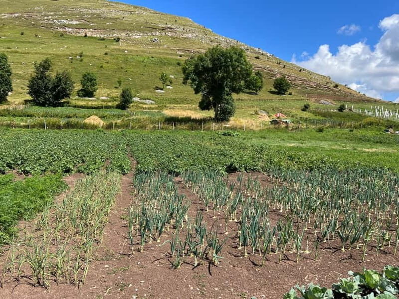 Hiking around Sarajevo: Lukomir Village Full Day Hiking Tour - Frequently Asked Questions