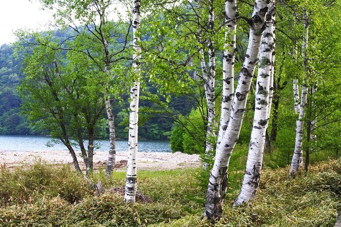 Hiking Around Yuno Lake: Revel in the Essence of Nikko's Nature and History - Final Thoughts on Who Will Love This Tour