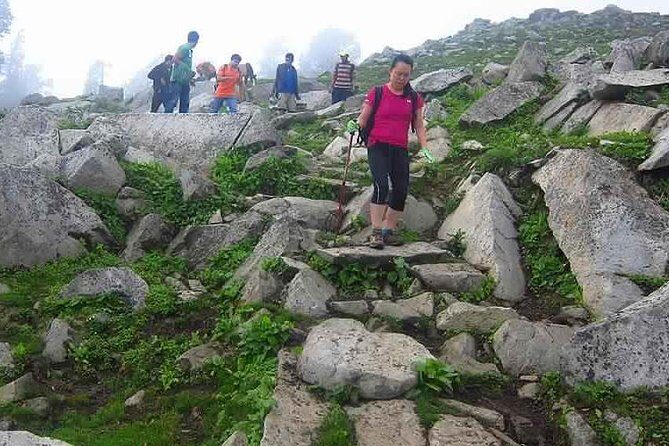 Hiking Day Tour to Triund from Dharamshala - Key Points