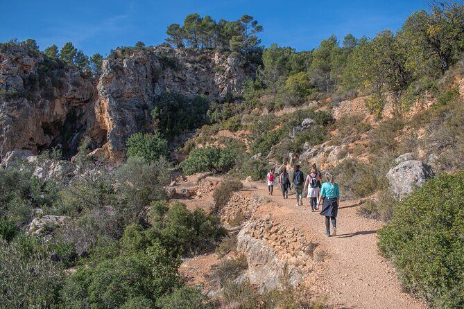 Hiking Experience between Waterfalls in Buñol from Valencia - Who Will Love This Tour?