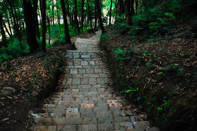 Hiking experience from Shivapuri to Nagi Gumba to Baghdwar - Final Thoughts