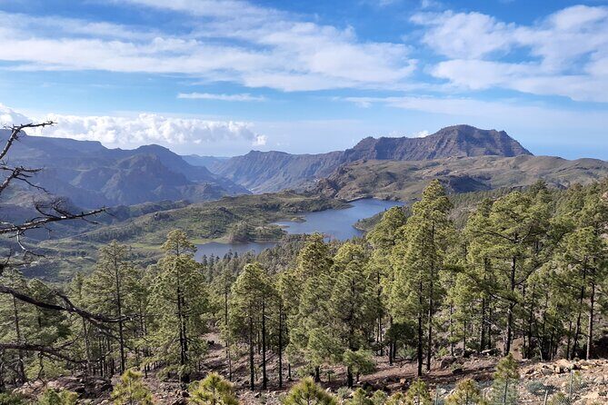 Hiking experience in the north of Gran Canaria - Hiking Experience in the North of Gran Canaria