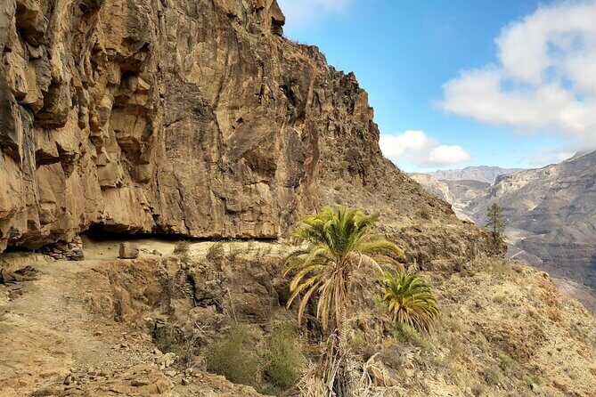 Hiking experience in the north of Gran Canaria - The Sum Up