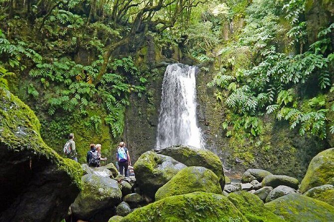 Hiking Faial da Terra + Van Tour Nordeste - What Makes This Tour Stand Out?
