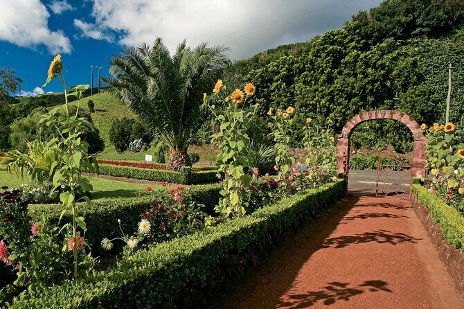 Hiking Faial da Terra + Van Tour Nordeste - Authentic Experiences and Insights