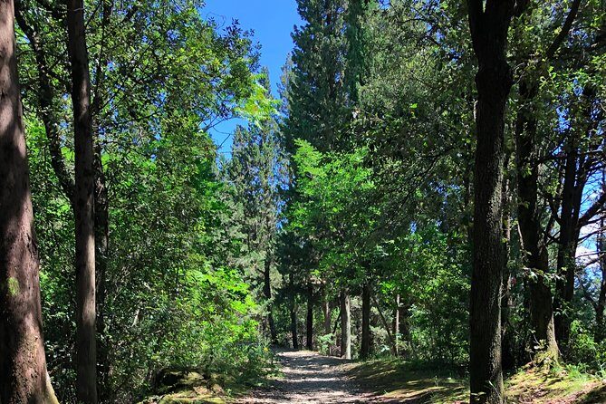 Hiking Florence Tuscany hills with lunch & wine - FAQ