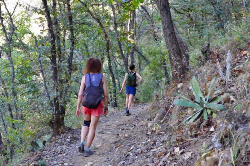 Hiking in Benito Juárez National Park - Authentic Experience and Authenticity
