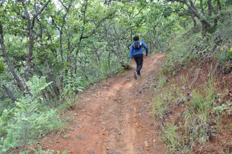 Hiking in Benito Juárez National Park - The Sum Up