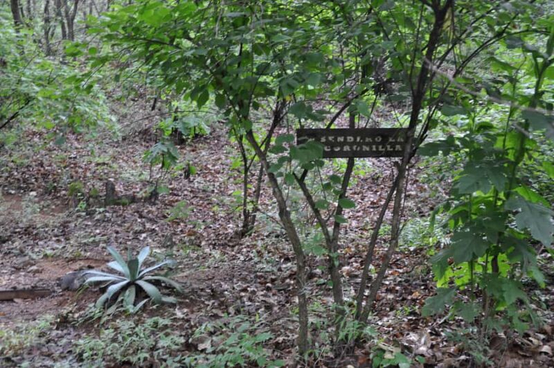 Hiking in Benito Juárez National Park - FAQ