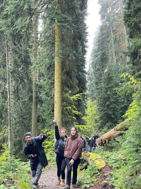 Hiking in Borjomi from Tbilisi - Key Points