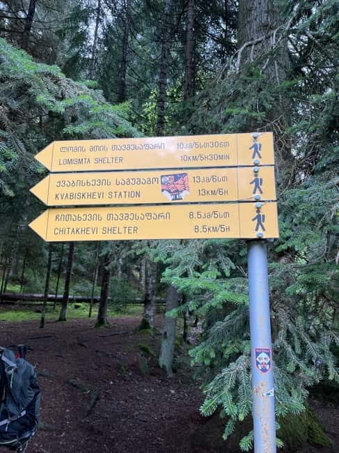 Hiking in Borjomi from Tbilisi - A Deep Dive into the Tour Experience