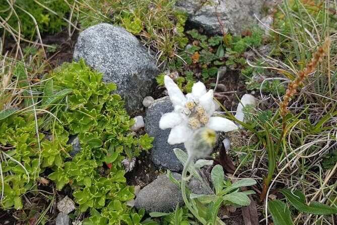 Hiking in Bucegi Mountains in the Carpathians, Private tour - FAQ