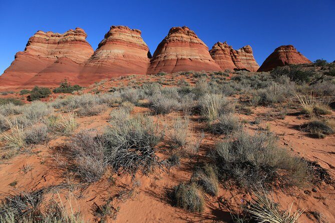 Hiking in Kanab: Famous Teepees of Vermilion Cliffs National Monument near Wave - The Value Proposition