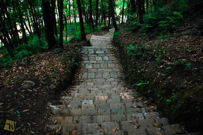 Hiking in Kathmandu - What Makes This Tour a Great Choice