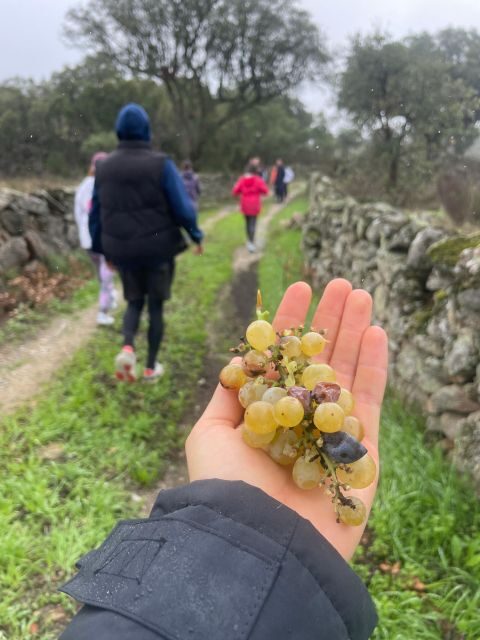 Hiking in Nature: Guided paths passing through Marvão - Authenticity and Unique Touches