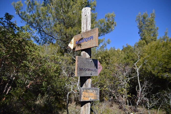 Hiking in Parnitha National Park from Athens - Who Would Love This Tour?