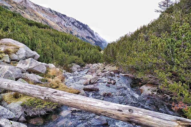 Hiking in Pirin- the UNESCO World Heritage Natural Park with a visit of Bansko - Practical Details and Value