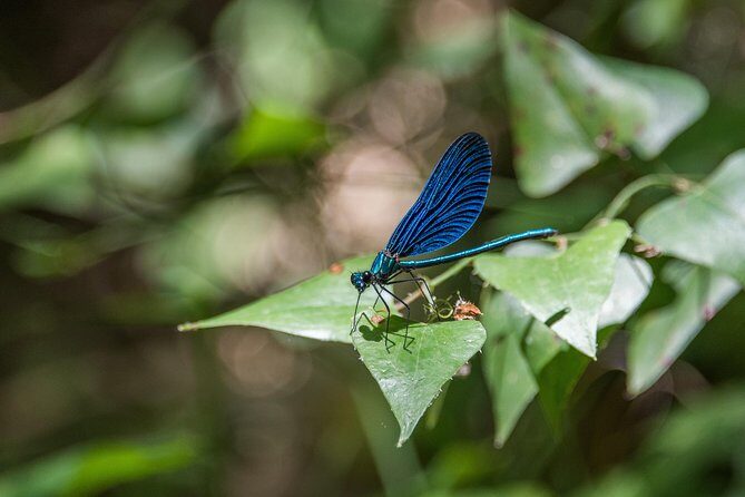 Hiking in Polilimnio Waterfalls - A Day in Nature: The Itinerary