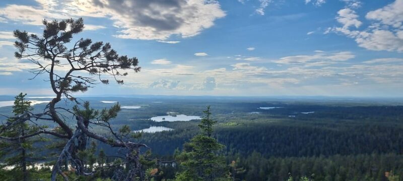 Hiking in Riisitunturi National Park - Is this tour right for you?