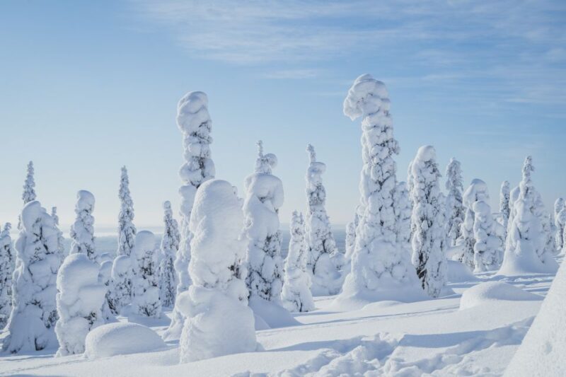 Hiking in Riisitunturi National Park with Photographer - Key Points