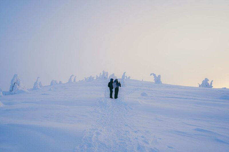 Hiking in Riisitunturi National Park with Photographer - An In-Depth Look at the Tour Experience