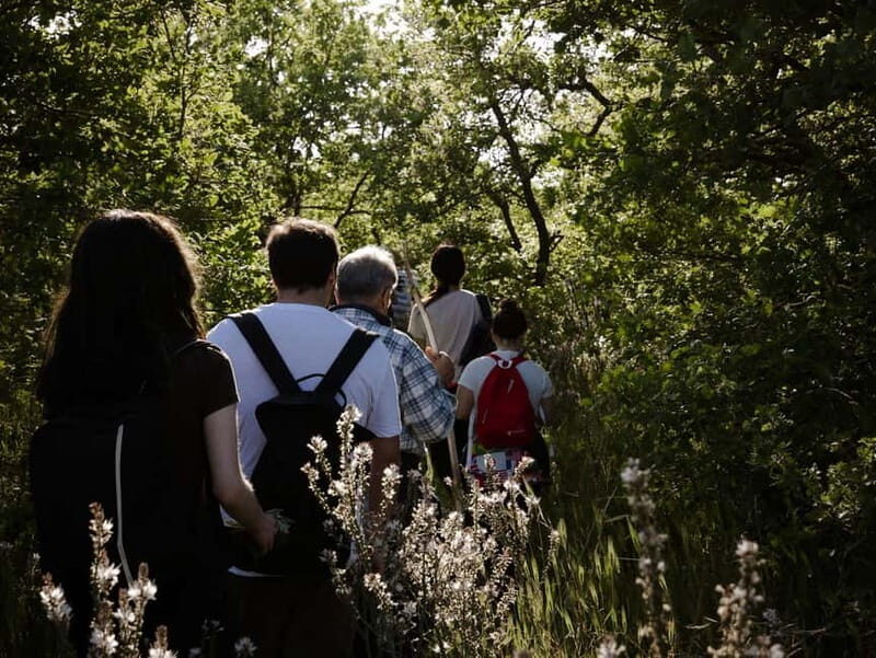 Hiking in the Alta Murgia National Park: the forest and the ancient farmhouse - An In-Depth Look at the Hiking Experience