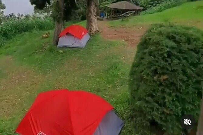 Hiking in the Blue Mountains. - The Sum Up: Who Should Consider This Tour?