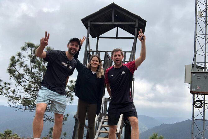 Hiking in the Enchanted Forest of Ixtepeji with Rescue Dogs - Authentic Insights from Travelers