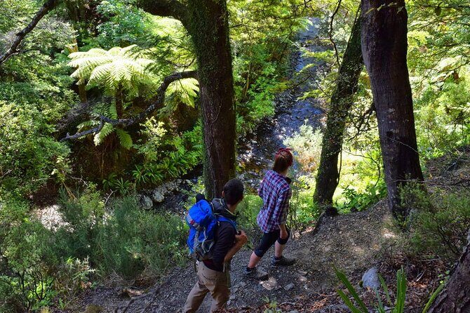 Hiking in the Forest & Stunning Italian Ghost Town of Rhodes! - Transportation and Group Size