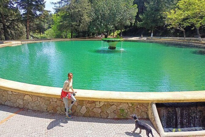 Hiking in the Forest & Stunning Italian Ghost Town of Rhodes! - Costs and Value Analysis
