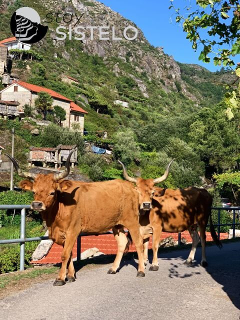Hiking in the "Mini Tibet" of Portugal - What Makes This Experience Stand Out