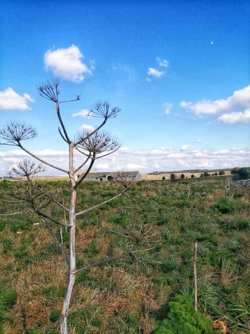 Hiking in the Murgia of Castel del Monte - FAQs