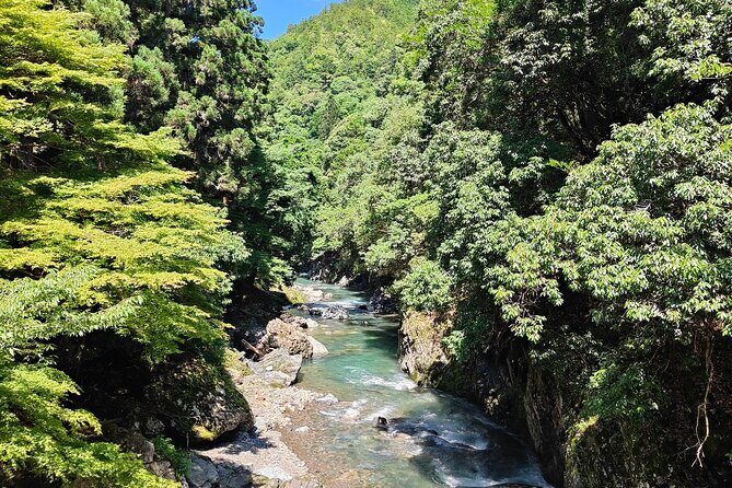 Hiking Kyoto's Highest Mountain: Unravel the Mystery of Mt. Atago - Key Points