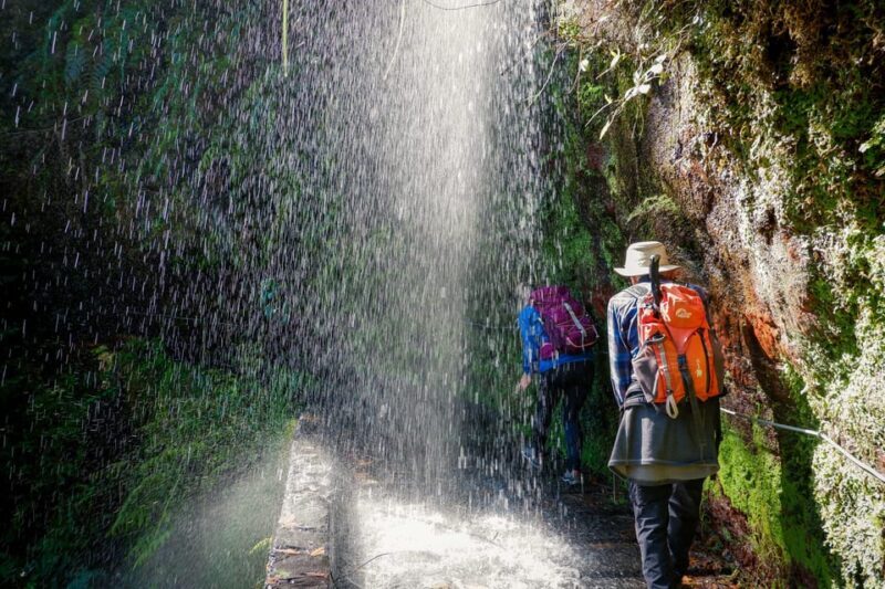 Hiking Madeira: Levada do Rei and the Majestic Laurissilva - Introduction
