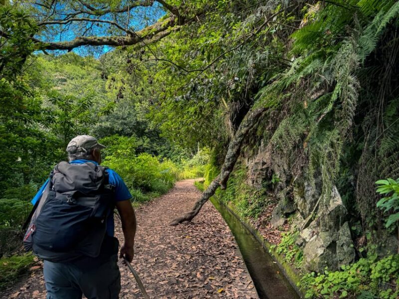 Hiking Madeira: Levada do Rei and the Majestic Laurissilva - Exploring Madeira’s Natural Wonders