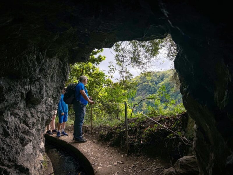 Hiking Madeira: Levada do Rei and the Majestic Laurissilva - Authentic Reviews and Highlights