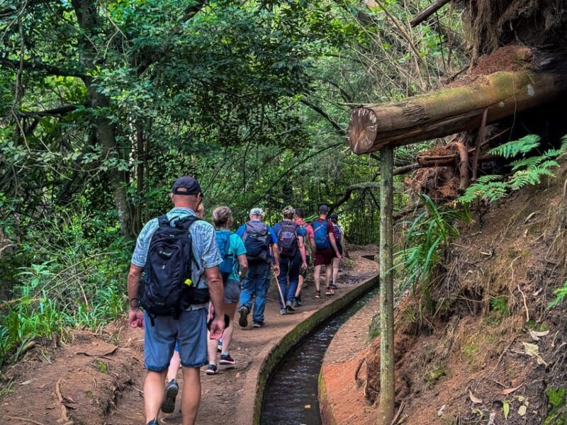 Hiking Madeira: Levada do Rei and the Majestic Laurissilva - The Sum Up