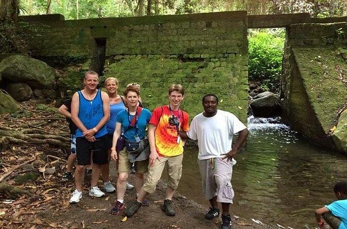 Hiking Mount Liamuiga Volcano in St Kitts - Practical Tips for Hikers